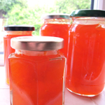 Bulk Grapefruit Juice Concentrate | Organic Grapefruit Juice ...